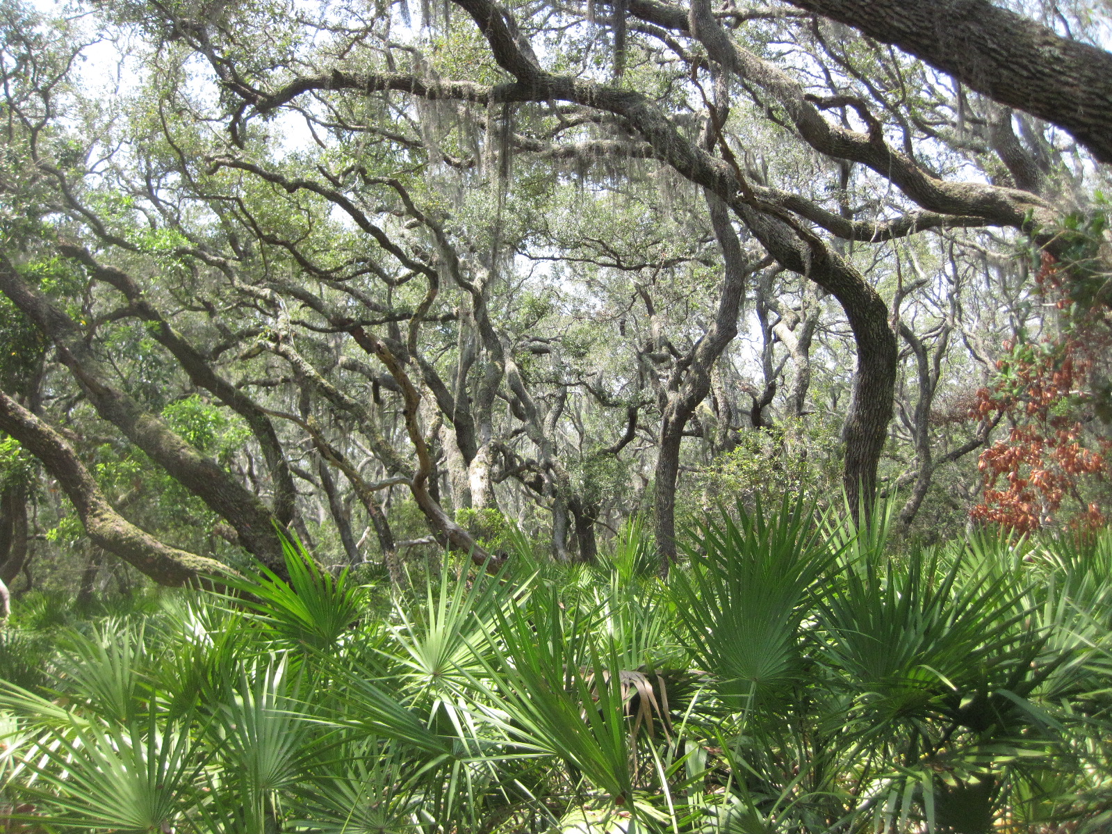 Wilderness History – Wild Cumberland