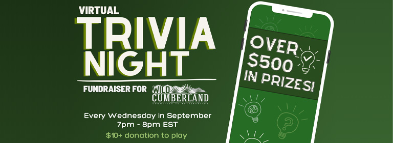 WC Trivia Night Series – Wild Cumberland